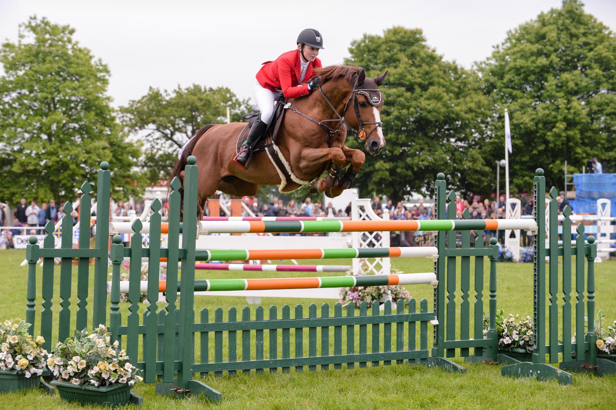 British Showjumping