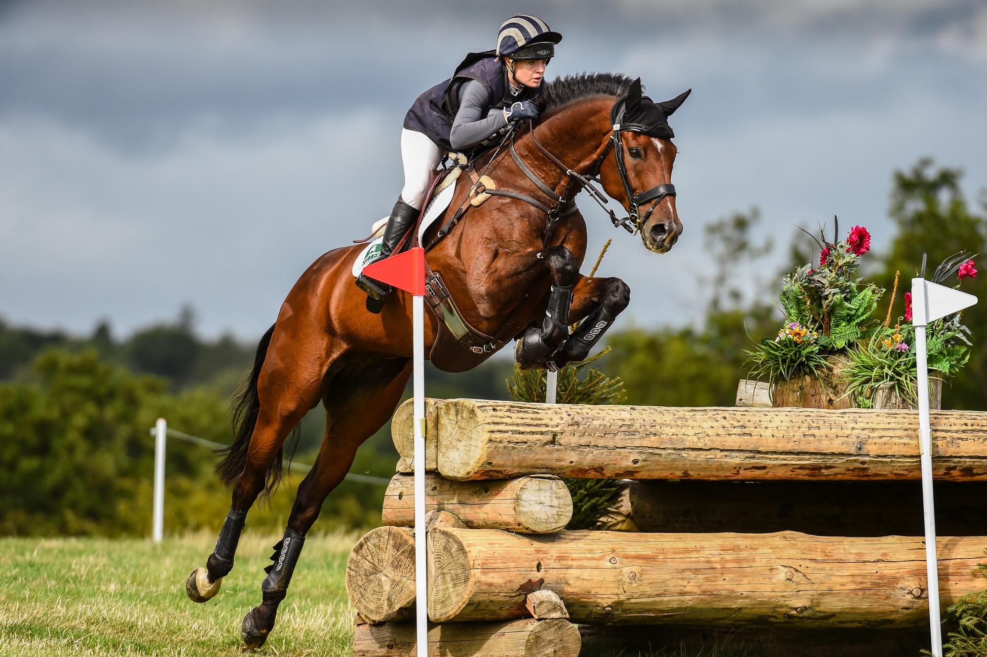 International FEI eventing CCI4*-L CCI4*-S CCI3*-L CCI2*-L CCI1*-S ...