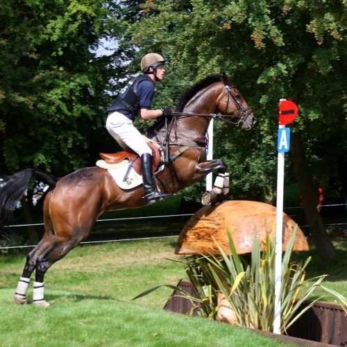 A hosted Course Walk around the Cross Country Course of Scone Palace ...