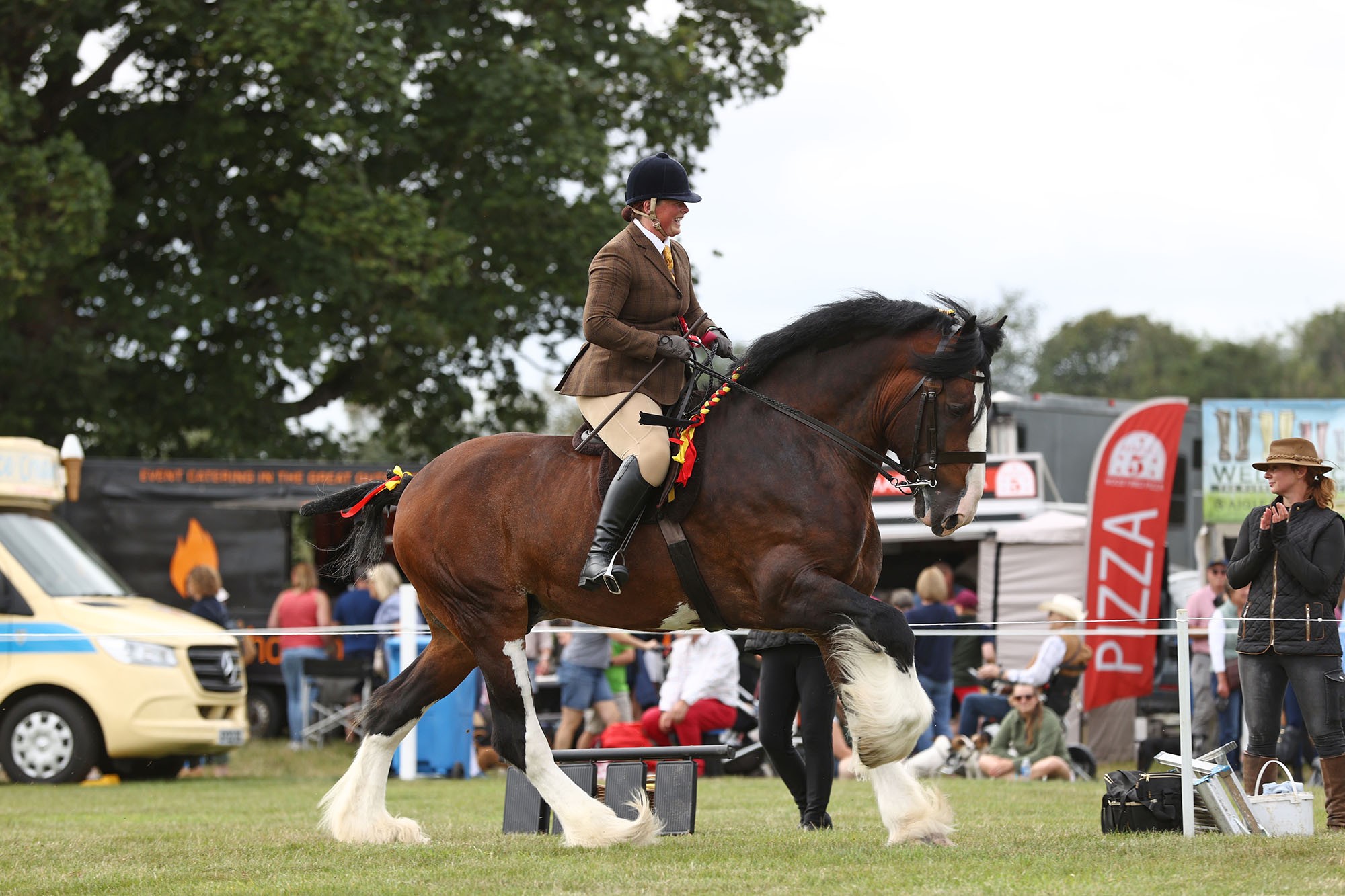 Native Breed Show at Scone Palace showing classes of Scotland’s native ...