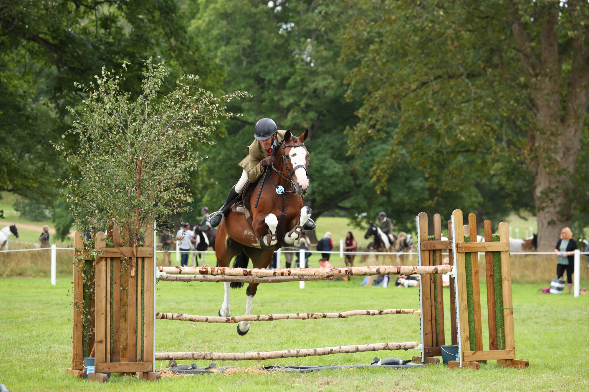 Ridden and working Hunter Show horse trials at Scone Palace