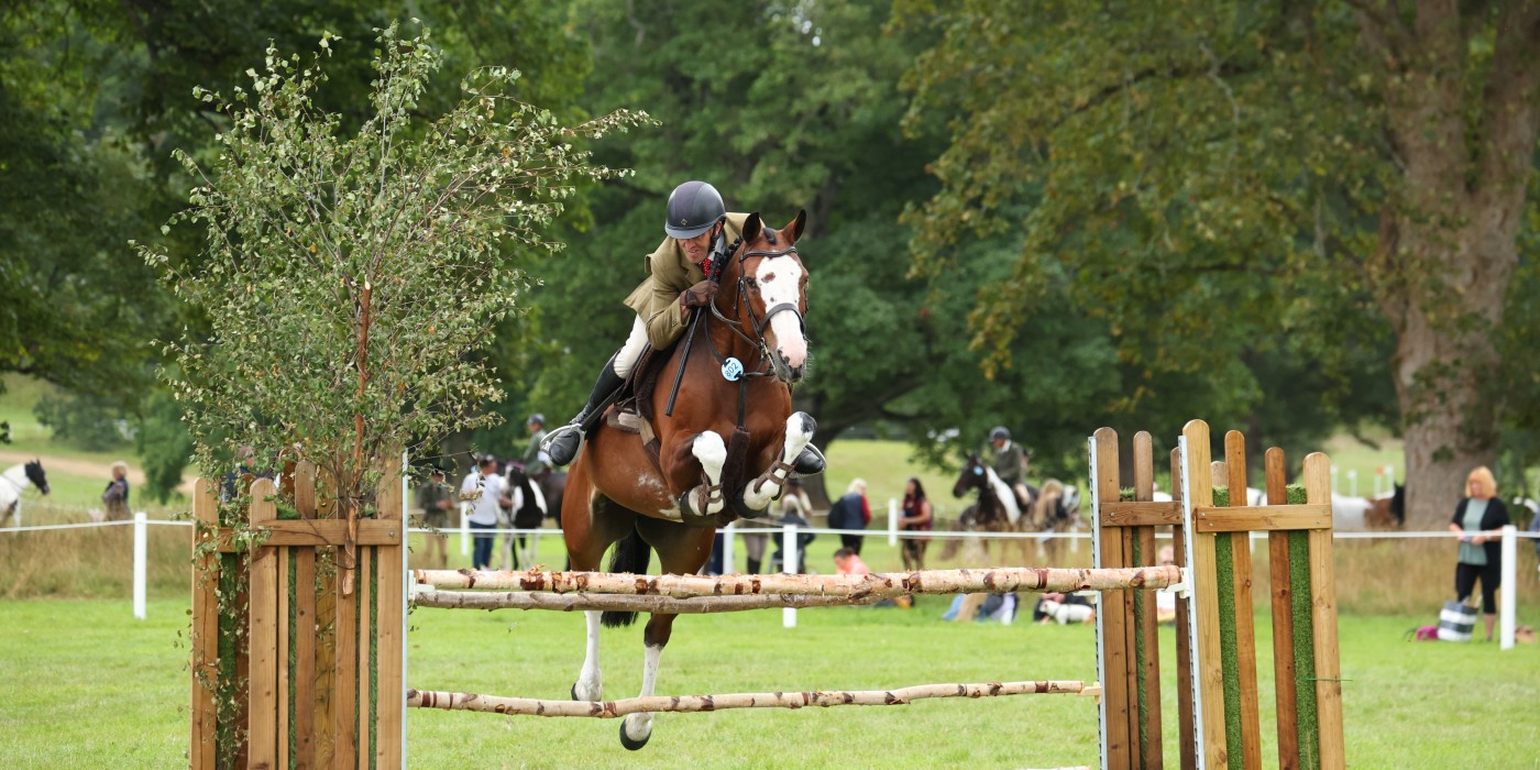 Ridden and working Hunter Show horse trials at Scone Palace